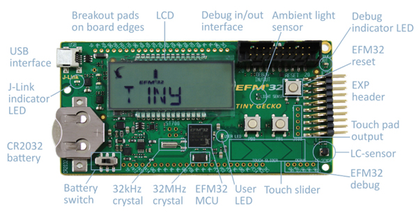 Tiny Geckos Display Small Energy Footprint | DigiKey